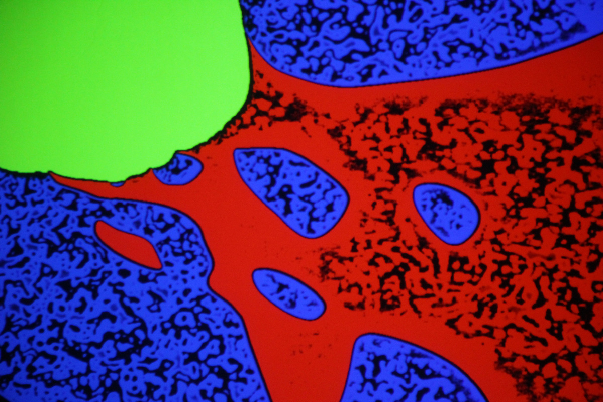 SAM MEECH — Video Culture