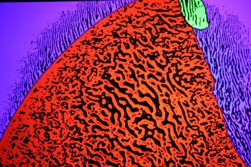 SAM MEECH — Video Culture