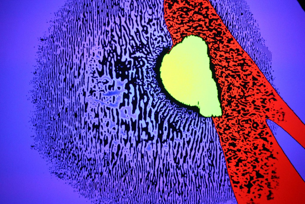 SAM MEECH — Video Culture