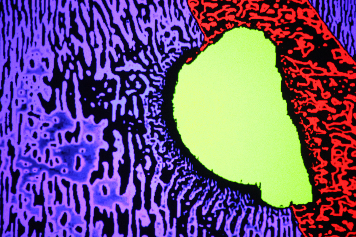 SAM MEECH — Projects