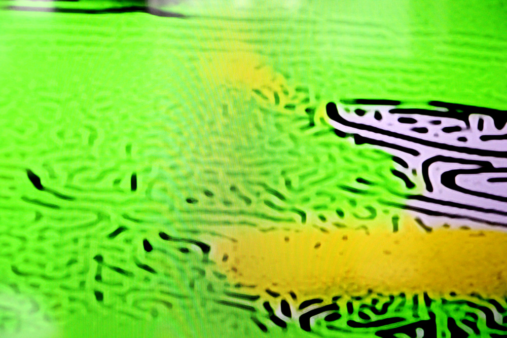 SAM MEECH — Generative Fiction